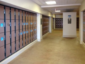 The Low-Down on Locker Rentals at Walt Disney World