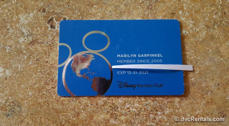 Be Our Guest - Making a Walt Disney World Visit Fun for Everyone