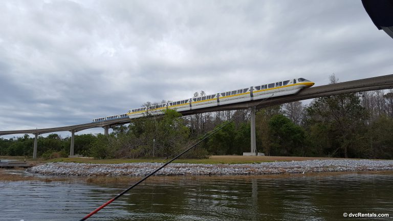 Bass Fishing in the Magic Kingdom Area at Walt Disney World