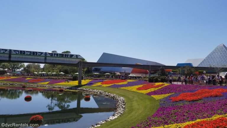 Four Seasons of Fun!