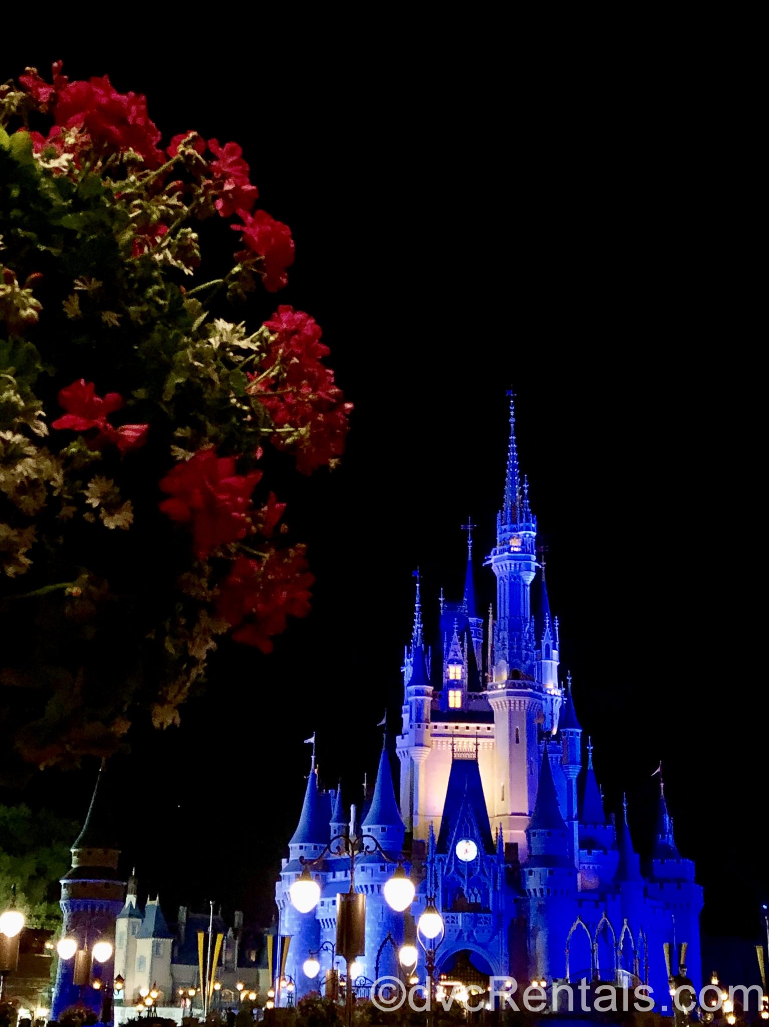 Magic by Moonlight – Disney After Hours!