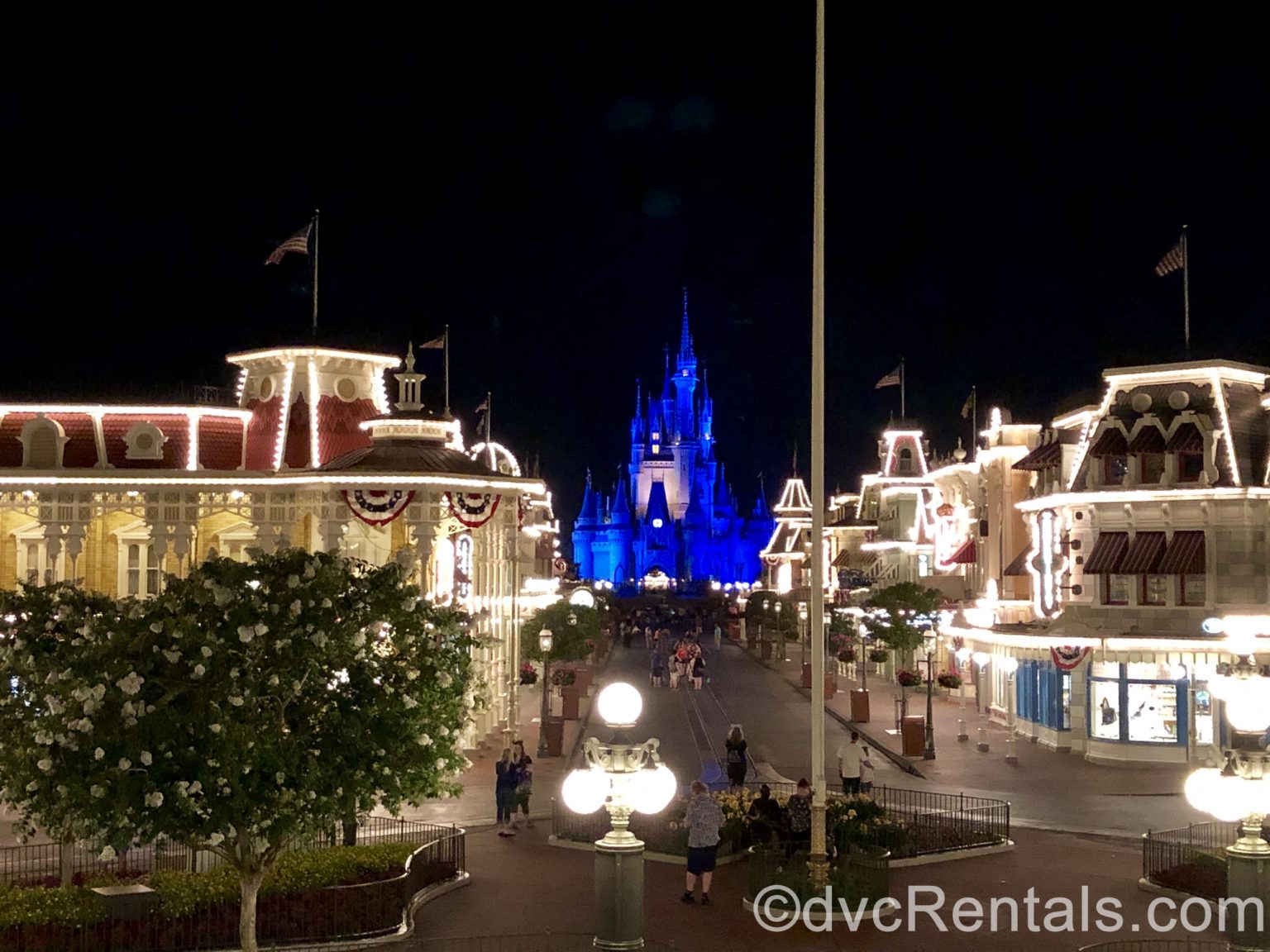 Magic by Moonlight – Disney After Hours!