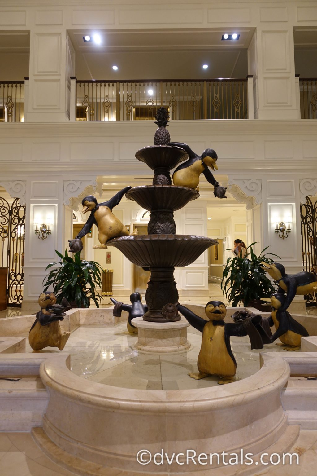 Learning about DVC Rentals!