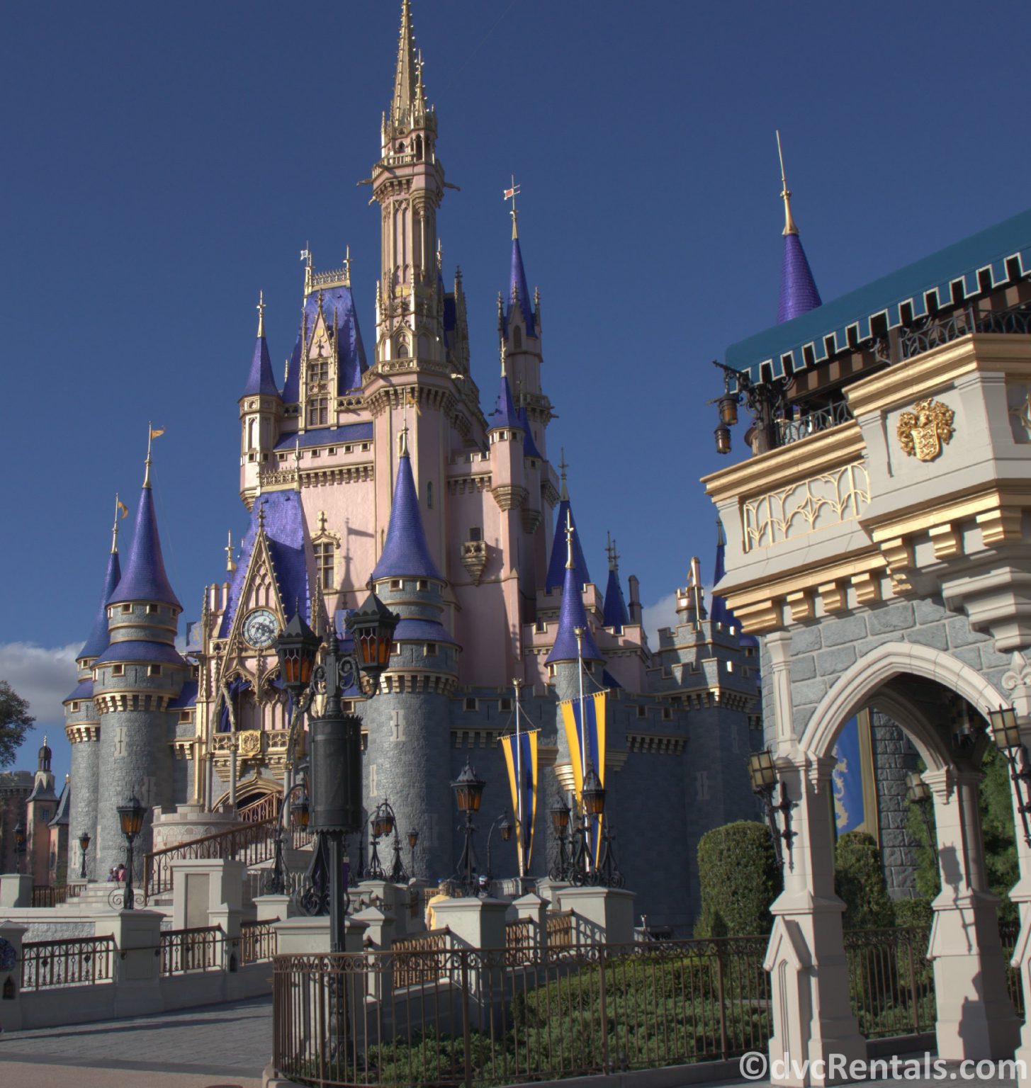 Top 5 Tips for Picky Eaters at WDW!