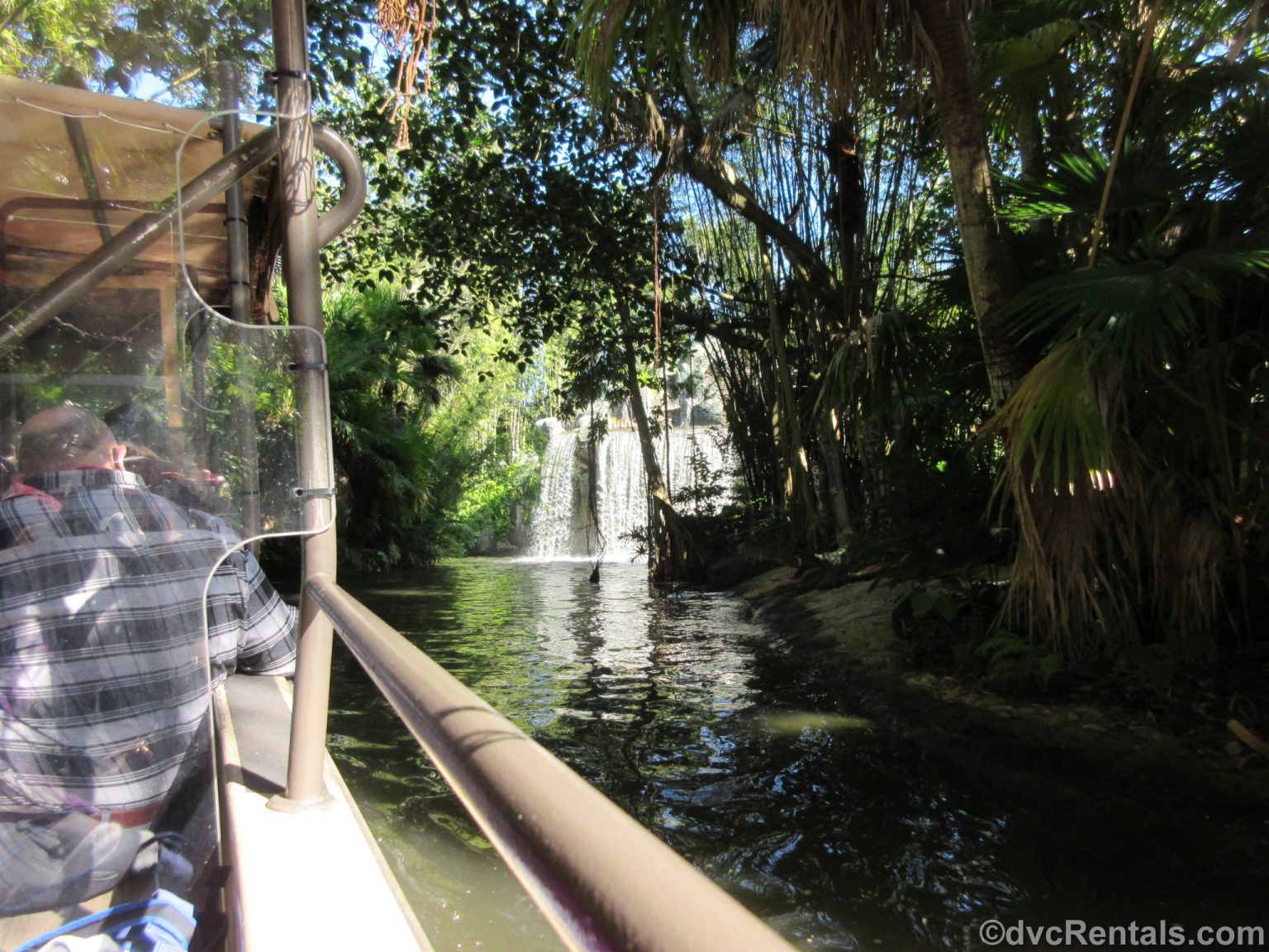 Boats, Boats, Everywhere!