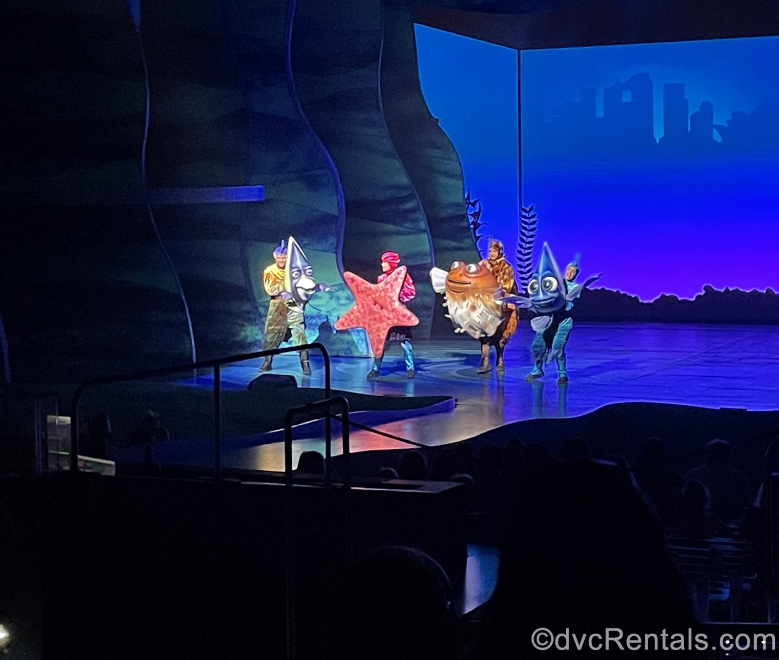 Finding Nemo: The Big Blue...and Beyond!