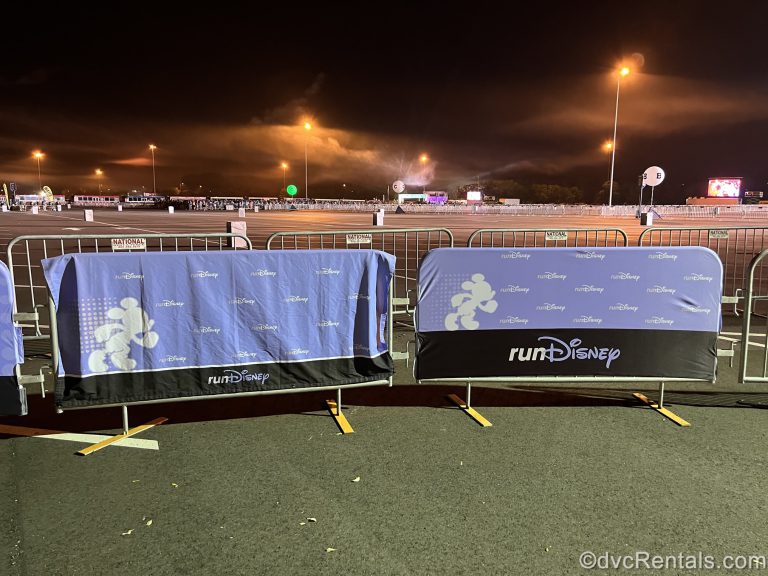 Regal Racing with a RunDisney Newbie: A ChEAR Squad Experience!