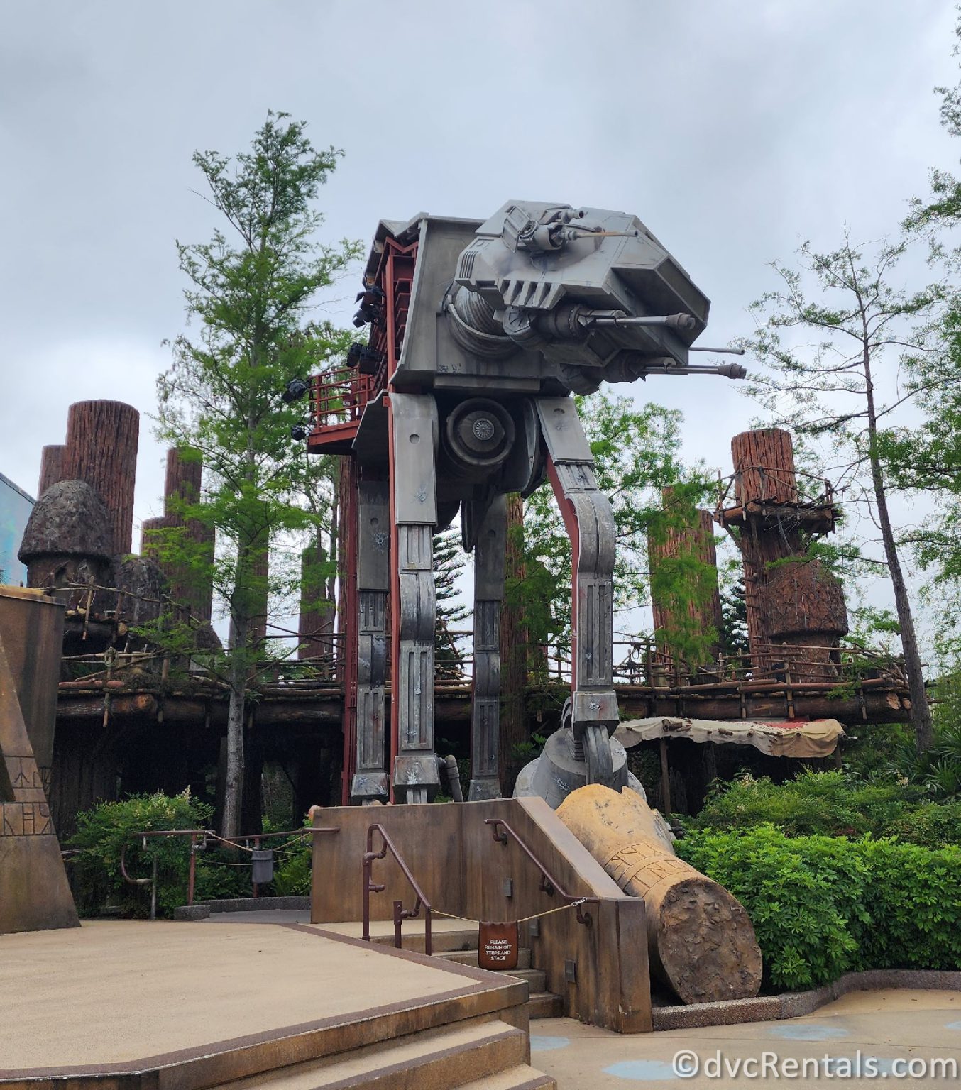 May the 4th Be With You – Where to find amazing ways to celebrate Star ...