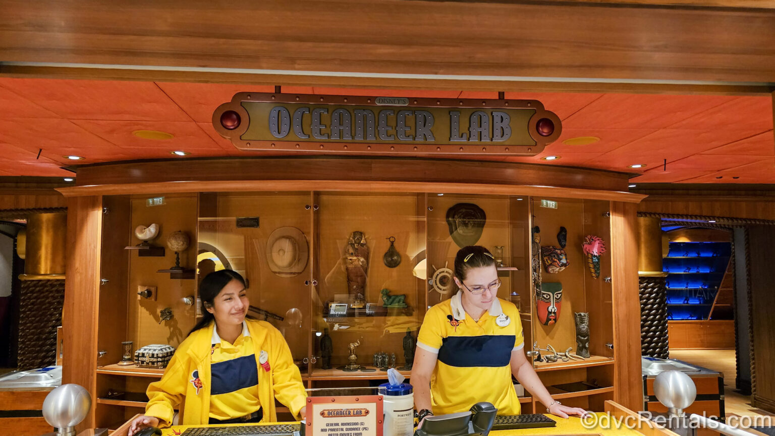Why YOU Will LOVE The Disney Dream!